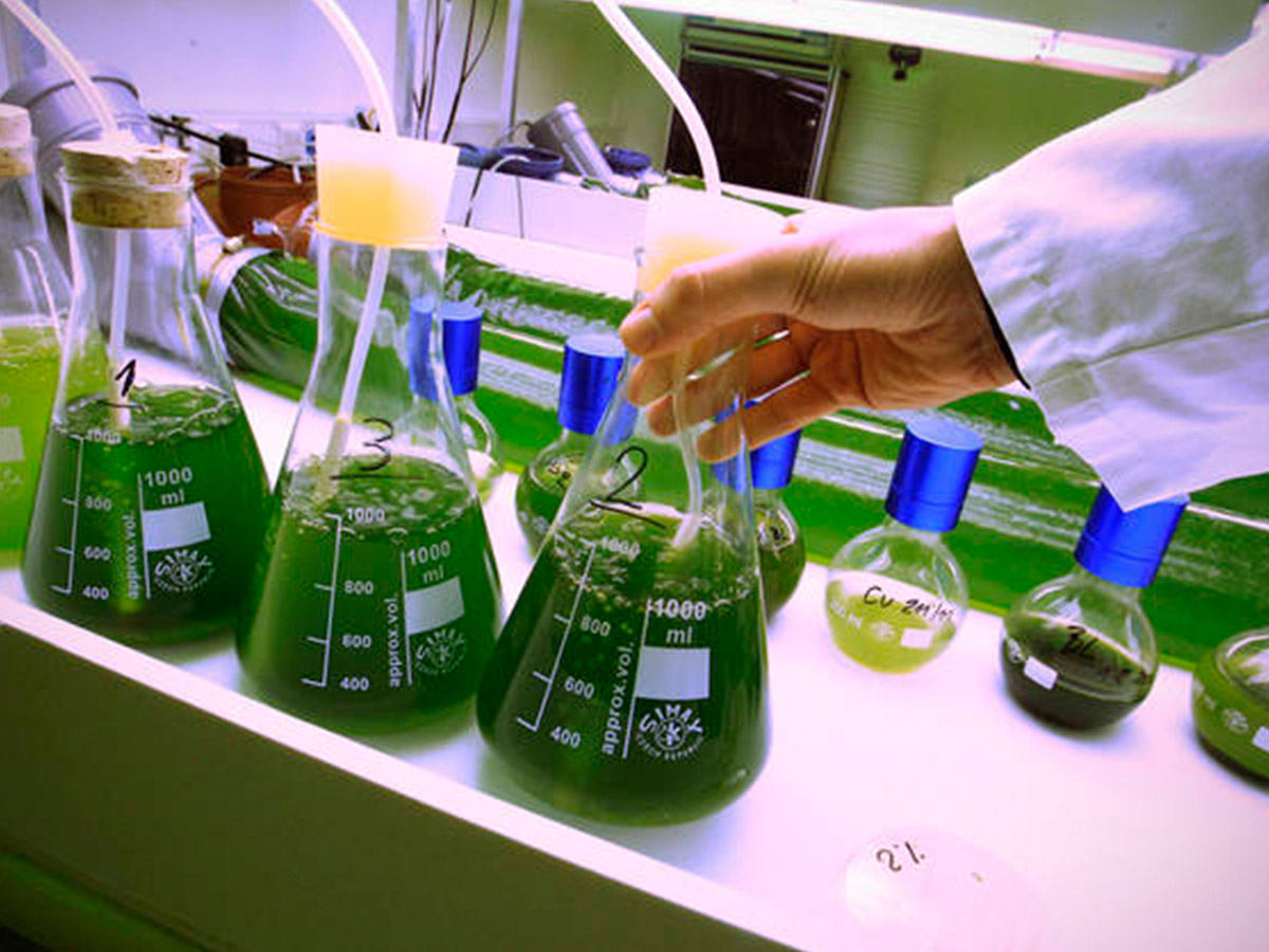BioRural - Accelerating circular bio-based solutions integration in ...