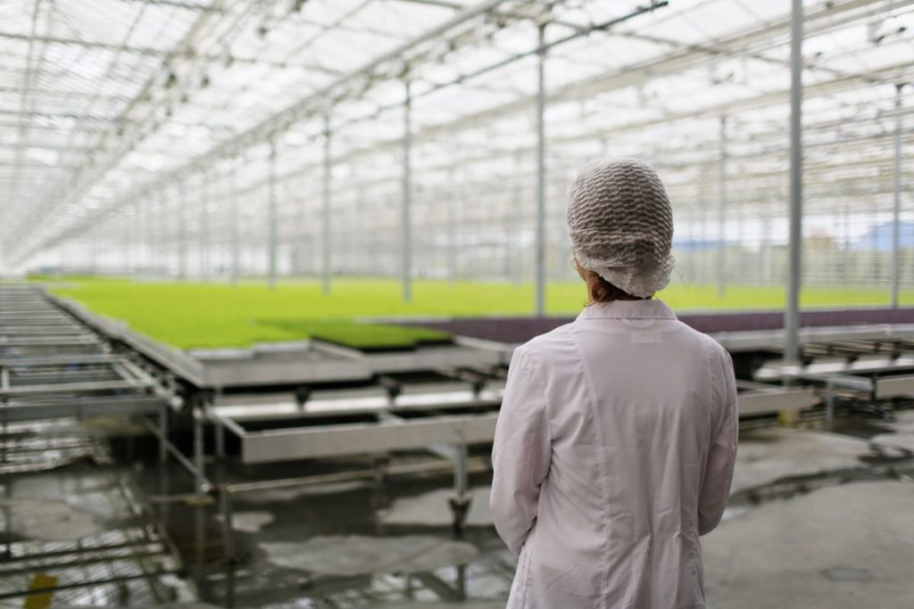 Algae production in wastewater - BioRural